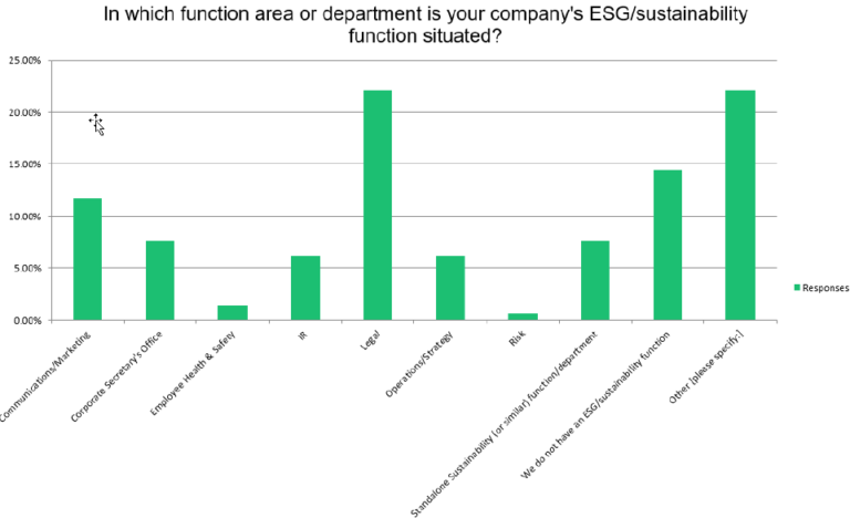 ESG Governance: Board and Management Roles & Responsibilities