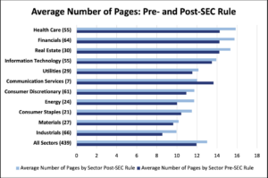 SEC Risk Factor Disclosure Rules