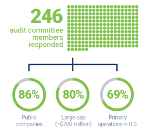 Audit Committee Practices Report