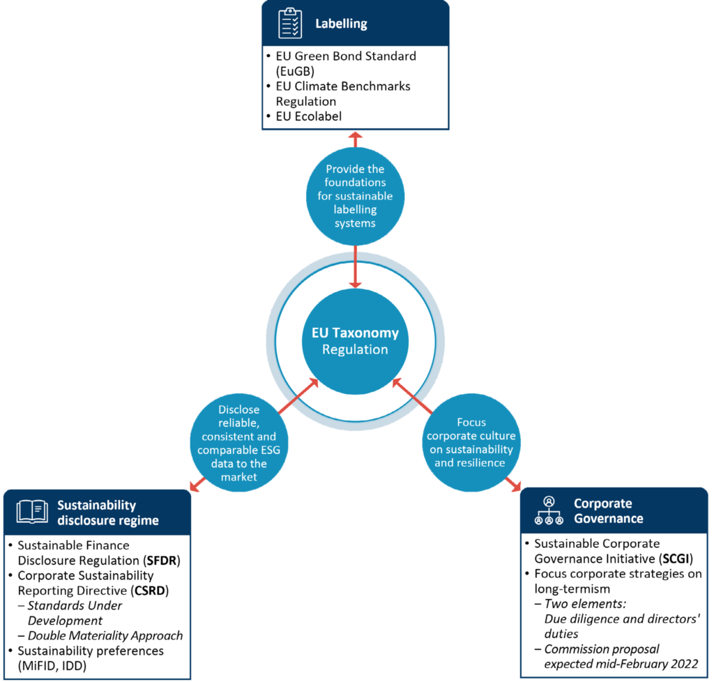 EU Taxonomy and the Future of Reporting