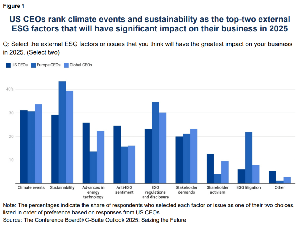 CEO and C-Suite ESG Priorities for 2025