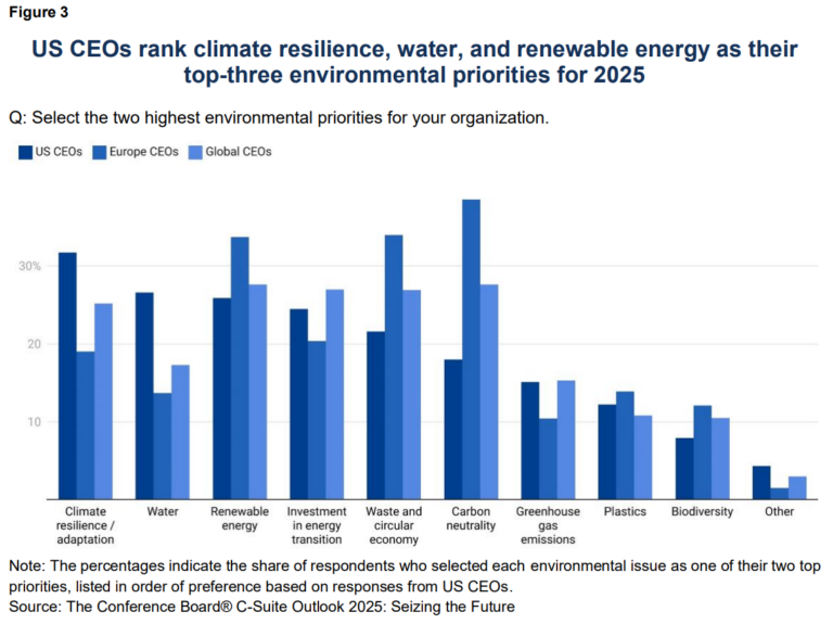 CEO and C-Suite ESG Priorities for 2025